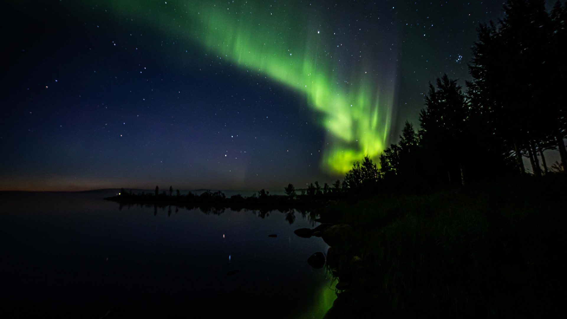 Extraordinary Activities | Arctic TreeHouse Hotel