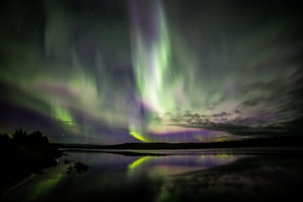 Arctic Autumn | Arctic TreeHouse Hotel