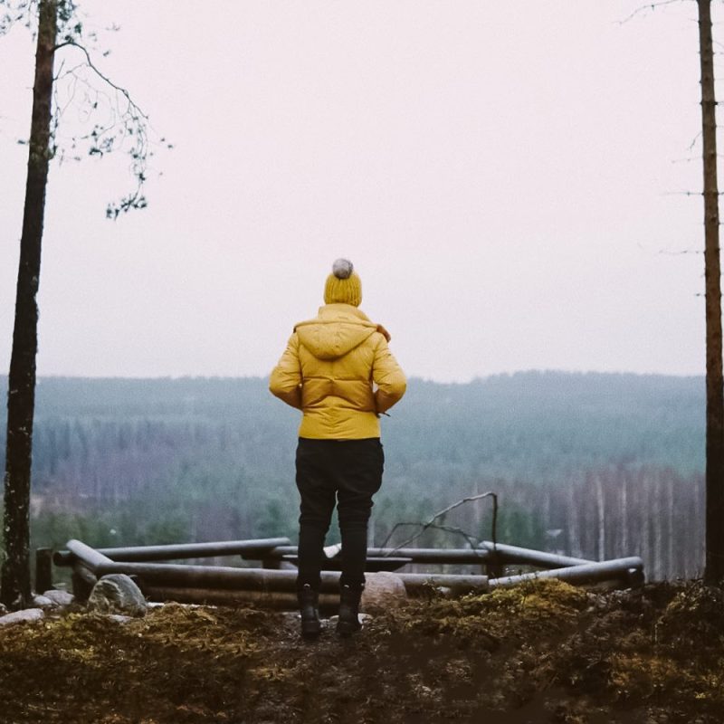 Arctic Autumn - Arctic TreeHouse Hotel