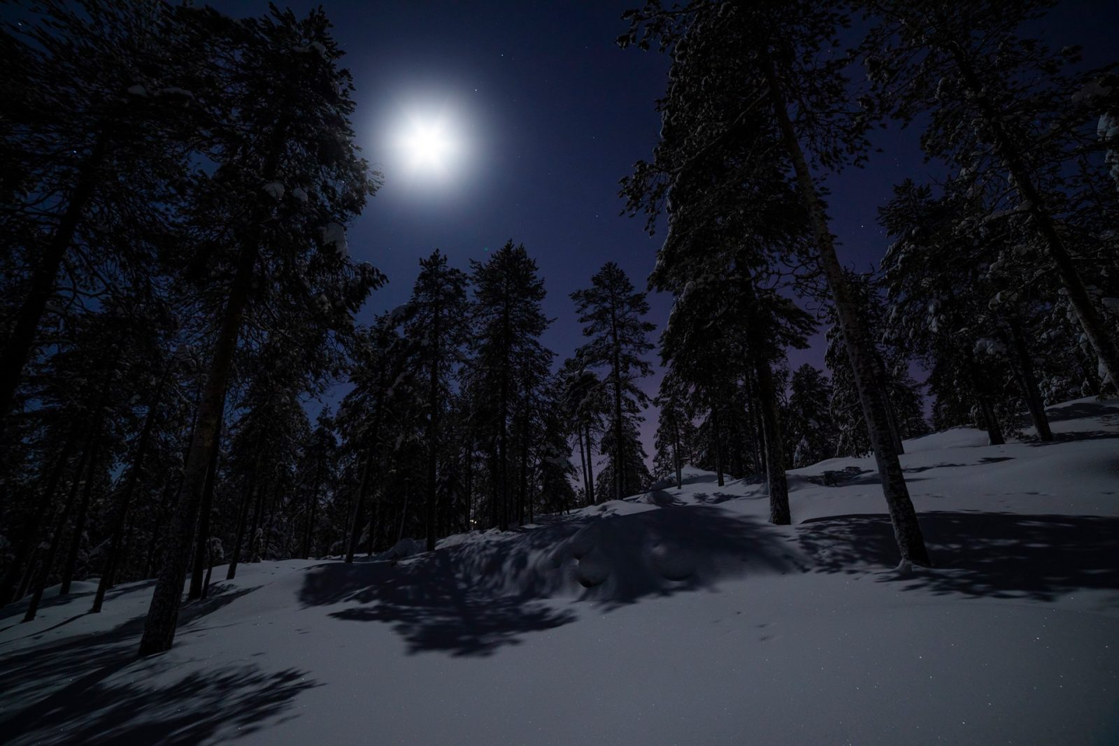 Winter activities - Arctic TreeHouse Hotel